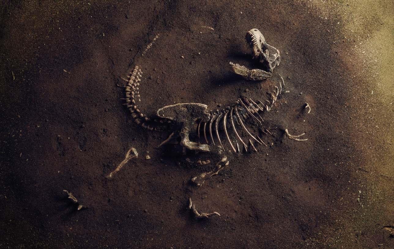 DNA found in dinosaur bones! - Creation Unfolding